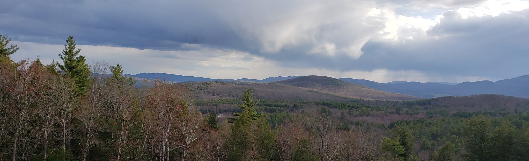 Holderness Trails Loop, New Hampshire - 112 Reviews, Map | AllTrails