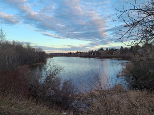 Best Hikes and Trails in Jones Lake Park | AllTrails