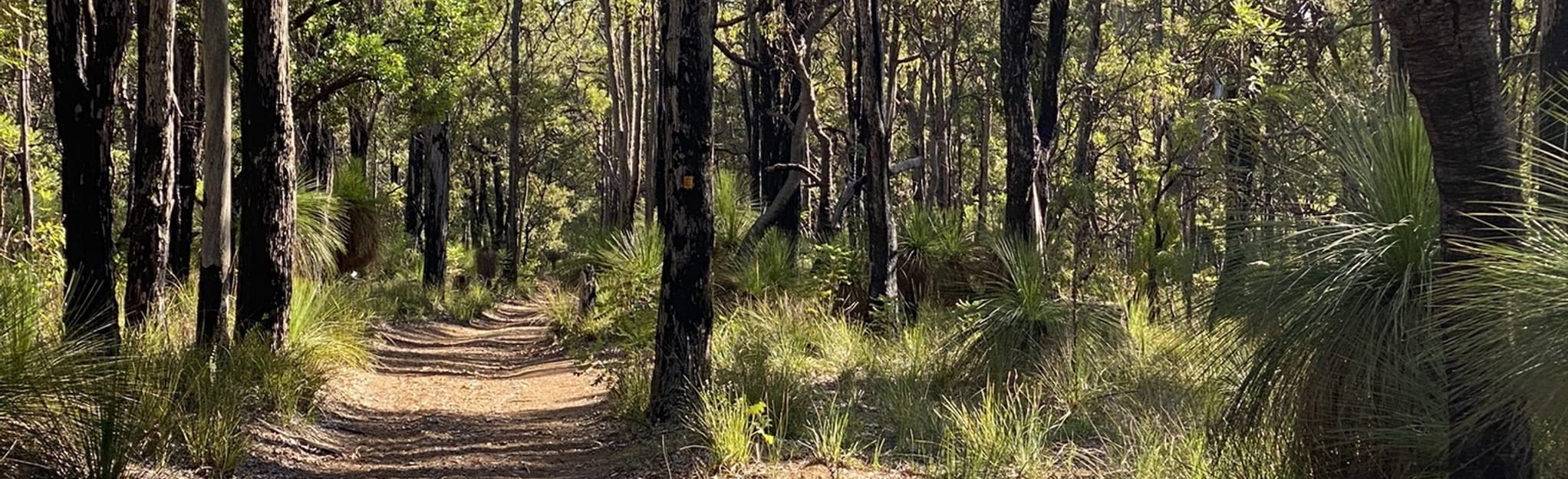 Pickering Brook and Perth Observatory Loop, 71 Fotos - Western ...