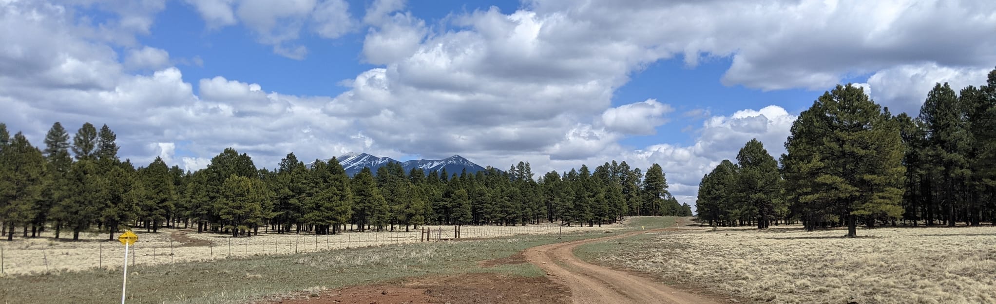 Walker Hill Loop: 20 Reviews, Map - Arizona | AllTrails