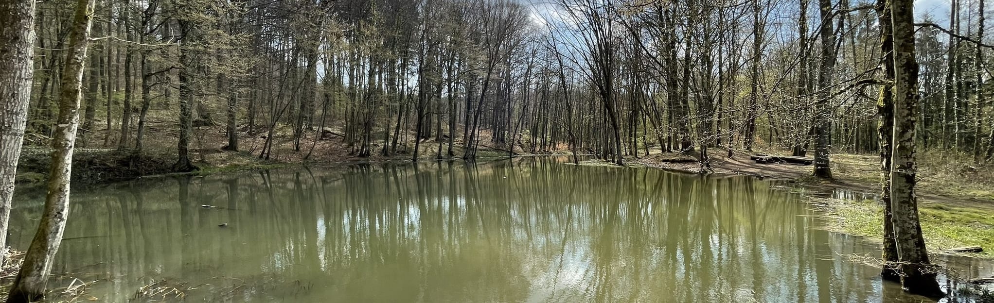 Auto-pédestre Esch-sur-Alzette, Esch-sur-Alzette, Luxembourg - 120 ...
