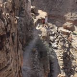 Honaker Trail, Utah - 94 Reviews, Map | AllTrails