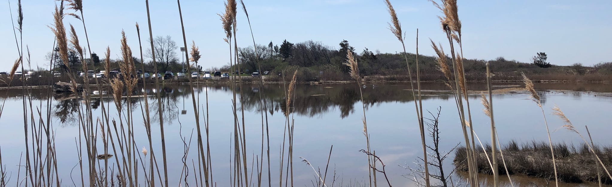 Hammonasset Beach State Park Walk, Connecticut - 893 Reviews, Map ...