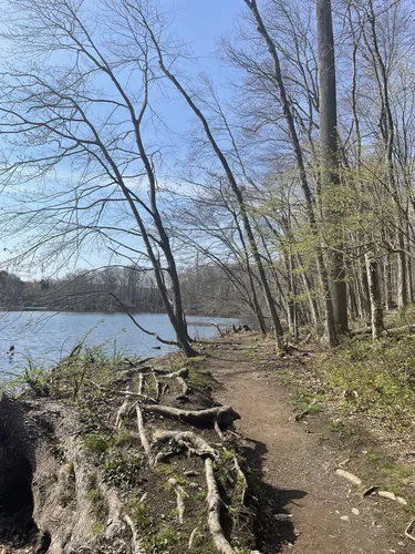Best Moderate Trails in Teatown Lake Reservation Nature Preserve ...