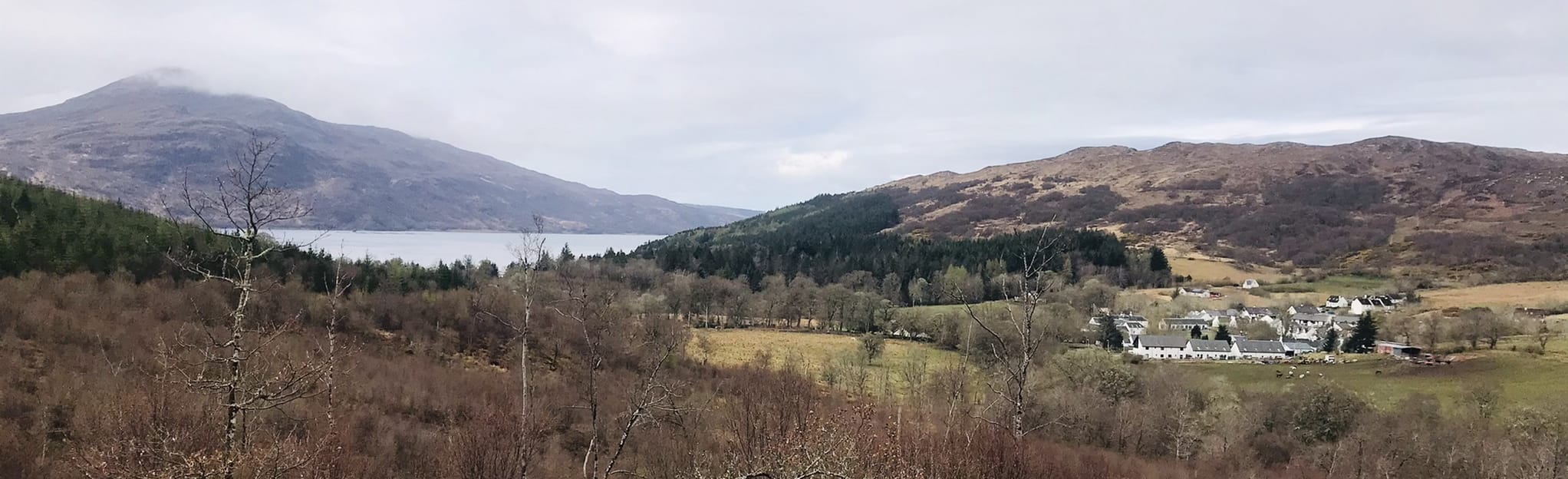 Balmacara Woodland Circular - Highlands, Scotland | AllTrails