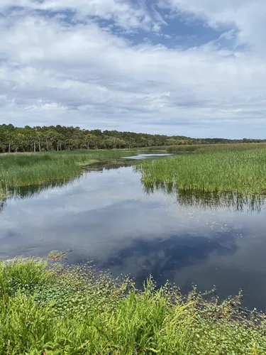 Best Hikes and Trails in Cape Romain National Wildlife Refuge | AllTrails