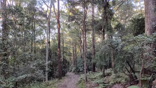 Best Hikes and Trails in Katandra Reserve | AllTrails