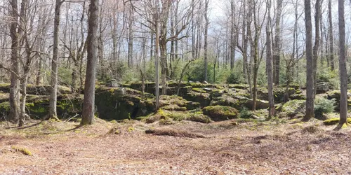 Best Hikes and Trails in Grover | AllTrails