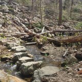 Manitou Point Preserve Trail, New York - 282 Reviews, Map | AllTrails