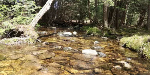 Best Hikes and Trails in Grover | AllTrails