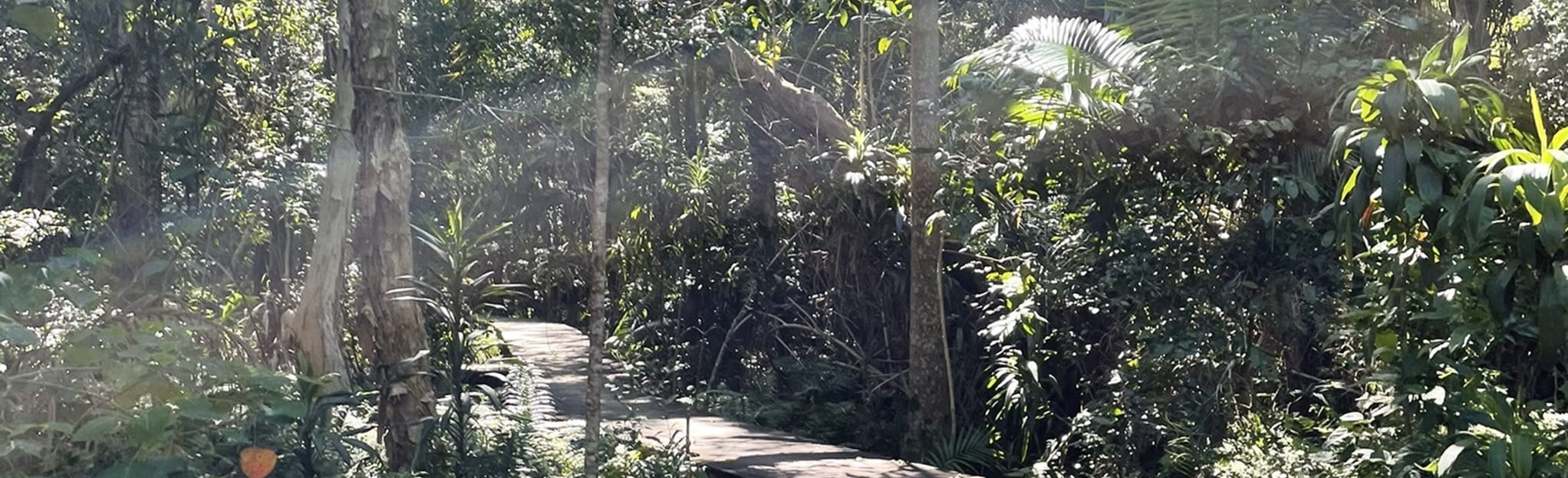 Yaroomba Bushland Park Loop: 22 foto's - Queensland, Australië ...