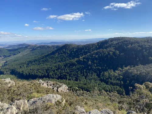 10 Best Hikes and Trails in Mount Canobolas State Conservation Area ...