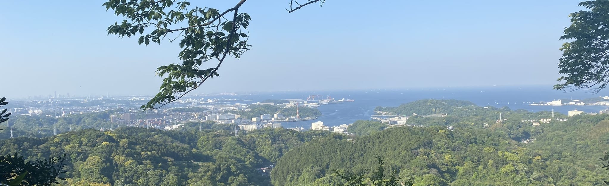 Mount Futago Loop: 20 Reviews, Map - Kanagawa, Japan | AllTrails