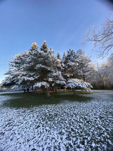 Best Hikes and Trails in Ford Lake Park | AllTrails