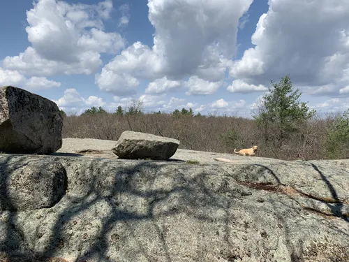 Best Hikes and Trails in Wrentham State Forest | AllTrails