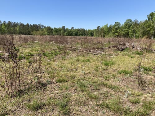 Best Hikes and Trails in Harbison State Forest | AllTrails