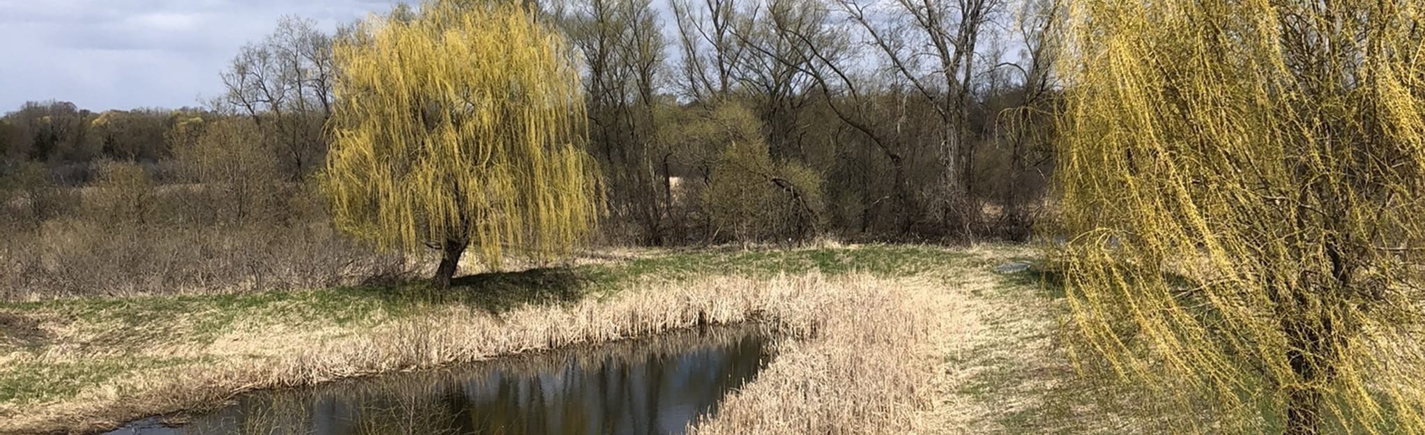 Edenbrook Conservation Loop: 82 Reviews, Map - Minnesota | AllTrails