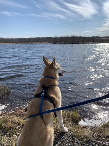 2023 Best Trails, Walks, and Paths in Brookfield | AllTrails