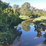 Bulimba Creek Loop, Queensland, Australia - 156 Reviews, Map | AllTrails