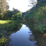 Bulimba Creek Loop, Queensland, Australia - 156 Reviews, Map | AllTrails
