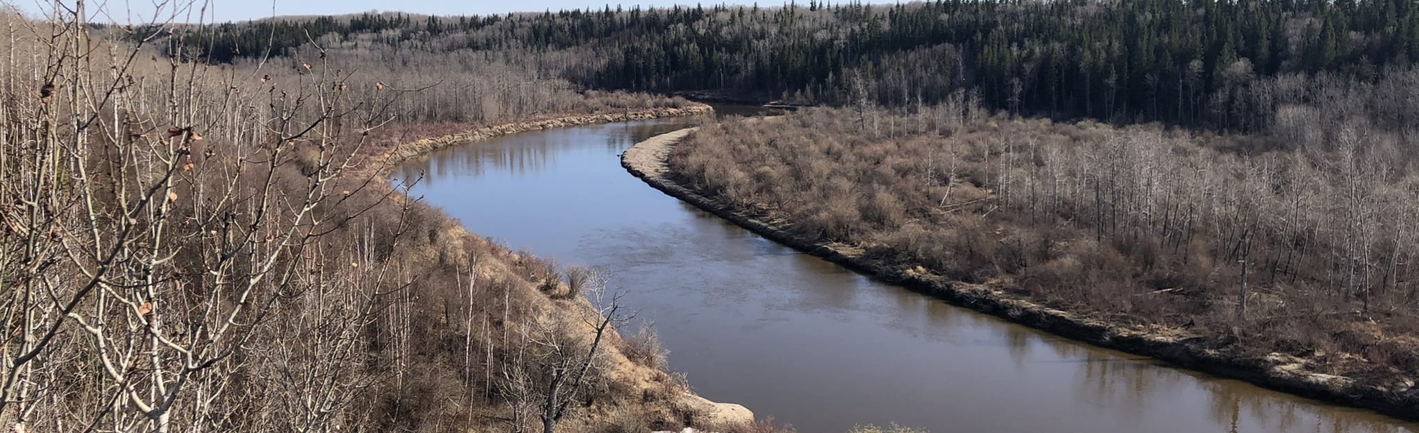 Trestle Bridge via Iron Horse: 79 fotos - Alberta, Canada | AllTrails