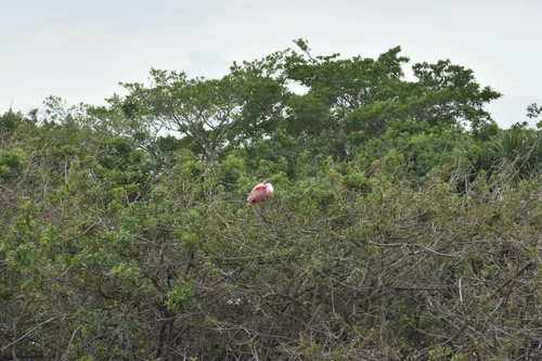 Best Hikes and Trails in TM Goodwin Waterfowl Management Area | AllTrails