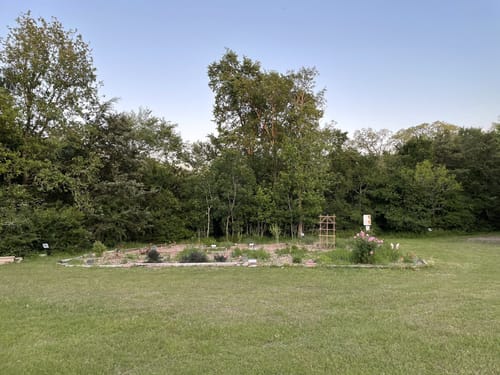 Best Hikes and Trails in Bee Creek Park | AllTrails