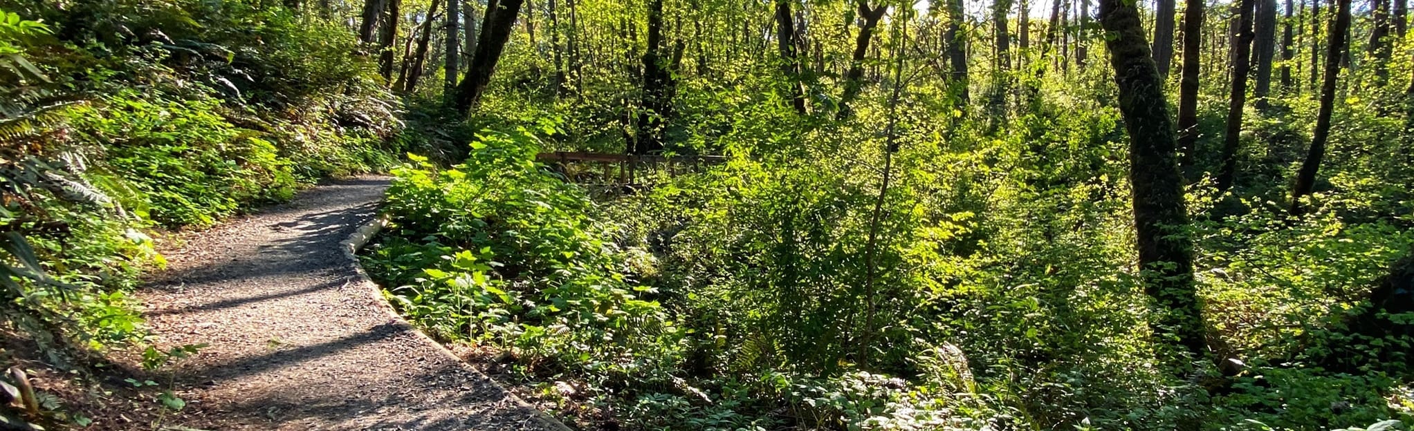 Spencer Butte Ridgeline Trail | Map, Guide - Oregon | AllTrails