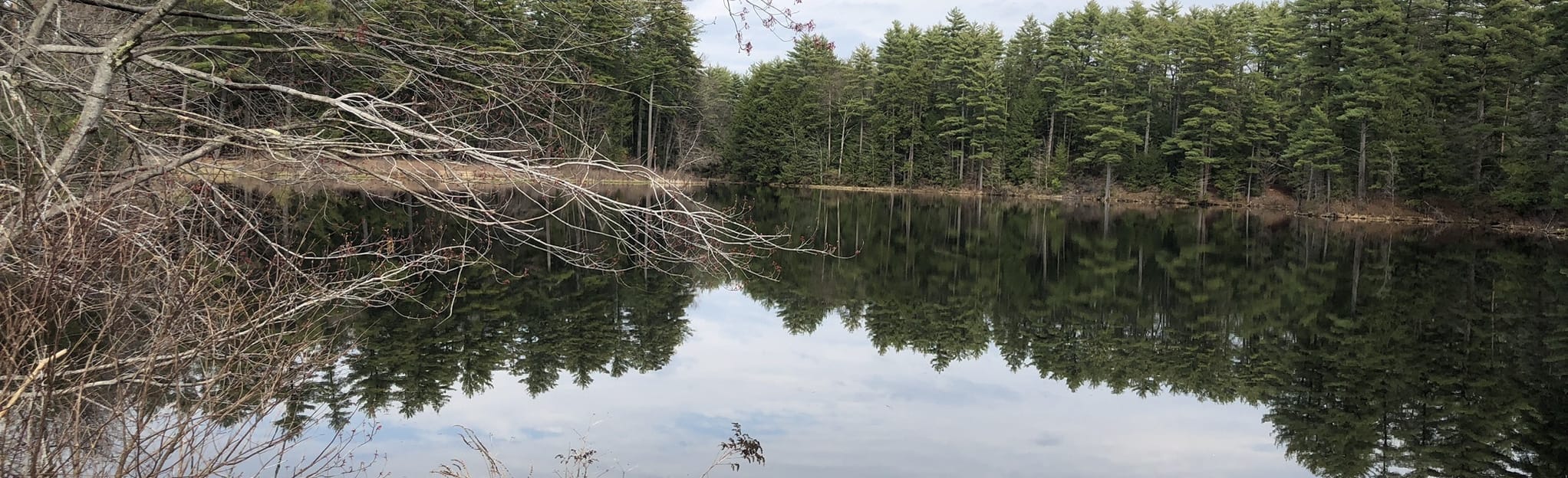 Wason Pond, New Hampshire - 248 Reviews, Map | AllTrails