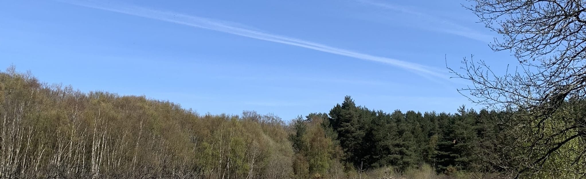 Horsell Common and Danewell Circular: 13 Reviews, Map - Surrey, England ...