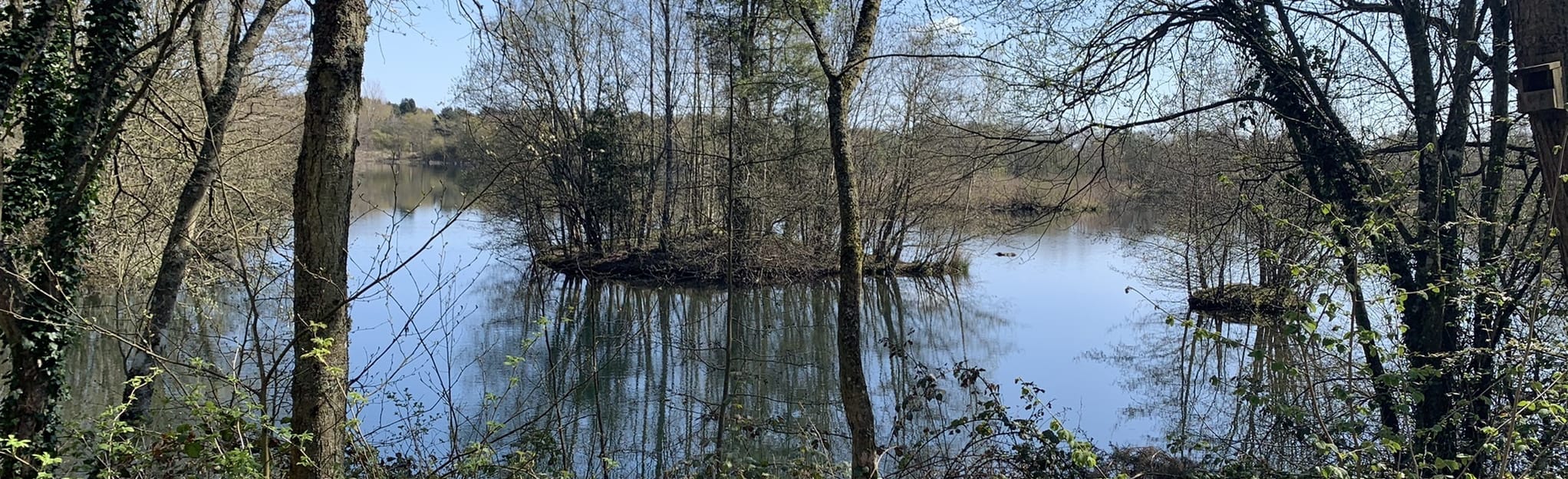 Gaddon Loch and Birnie Loch Nature Reserve Circular Walk, Fife ...