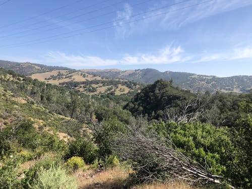 2023 Best Short Trails in Mount Diablo State Park | AllTrails