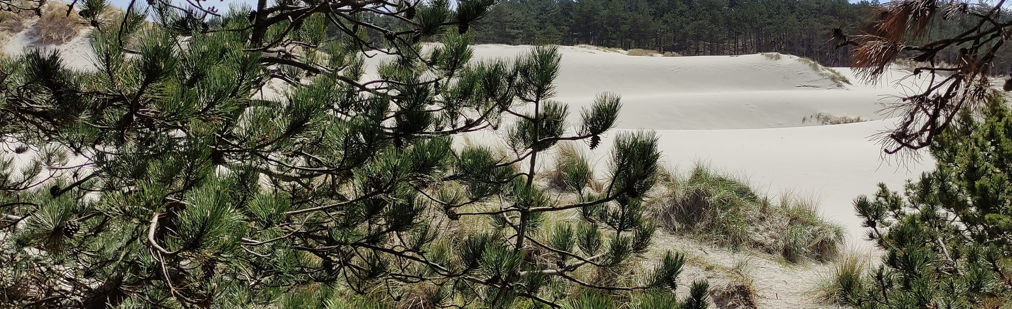 Groet - Schoorlse Duinen: 13 Reviews, Map - North Holland, Netherlands ...