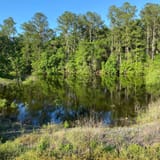 Levee Trail, Florida - 154 Reviews, Map | AllTrails