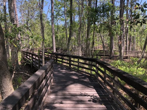 2023 Best Walking Trails in Foley | AllTrails