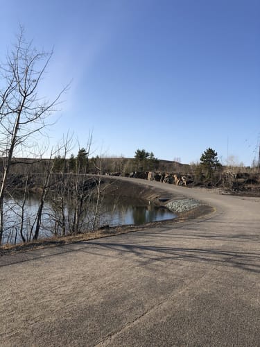 Best Hikes and Trails in Delki Dozzi Park | AllTrails