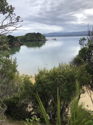 10 Best Trails and Hikes in Stewart Island | AllTrails