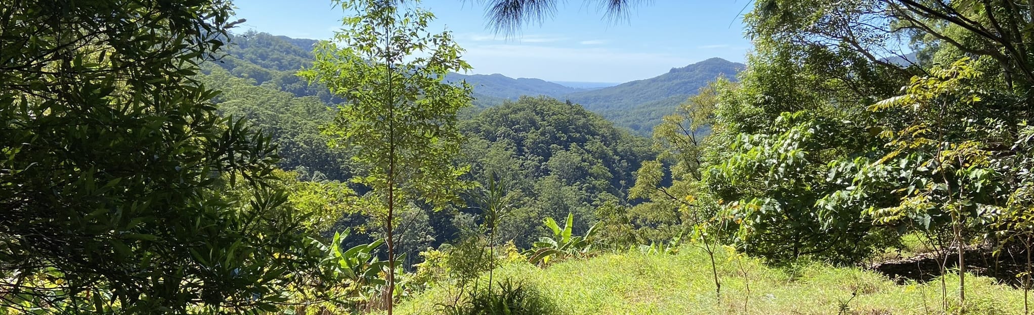 The Cream Track - Queensland, Australia | AllTrails