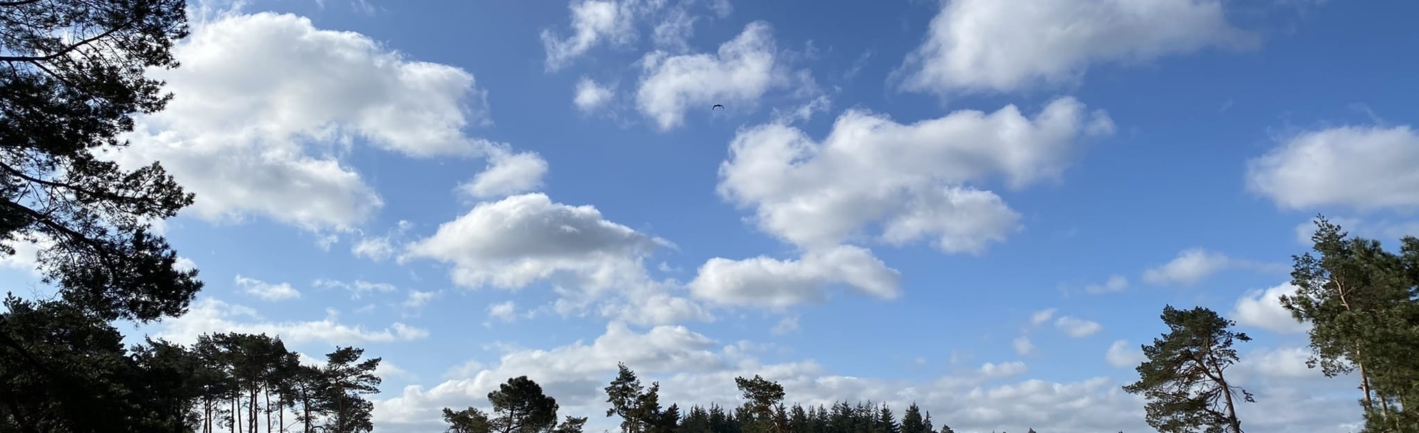 Ommen Sahara Blue Trail, Overijssel, Netherlands - 2 Reviews, Map ...