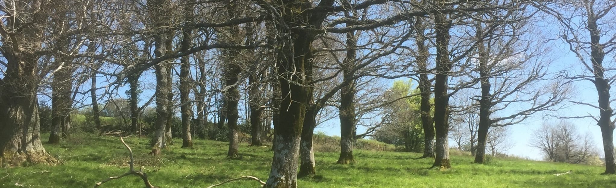 AllTrails | In the footsteps of the Giant of Cros: 3 Reviews, Map ...