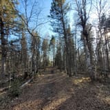 Wasagaming Campground , Manitoba, Canada - 73 Reviews, Map | AllTrails