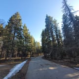 Wasagaming Campground , Manitoba, Canada - 73 Reviews, Map | AllTrails