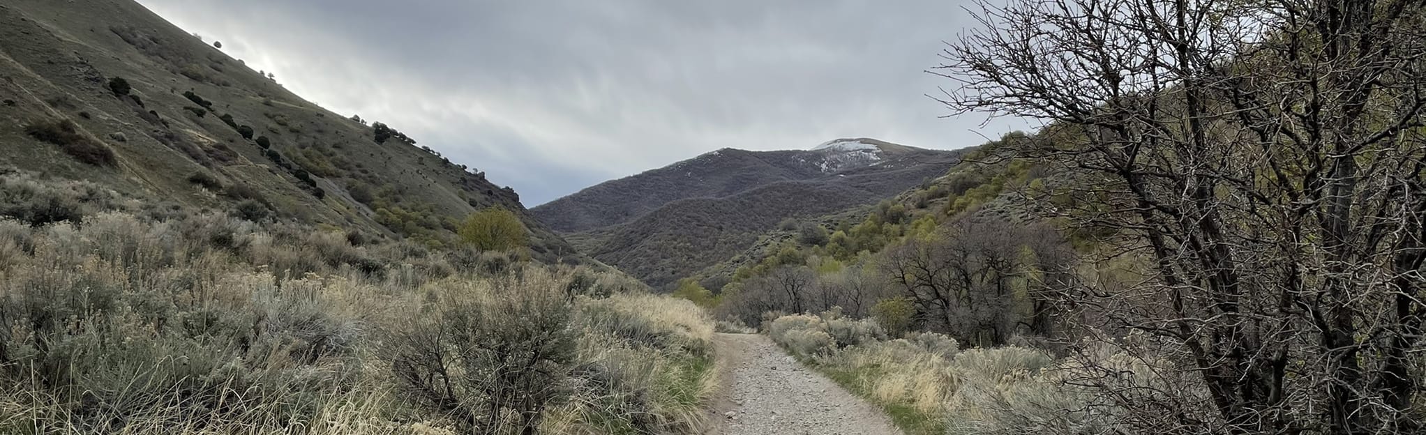 Perry Canyon Trail: 211 Reviews, Map - Utah | AllTrails