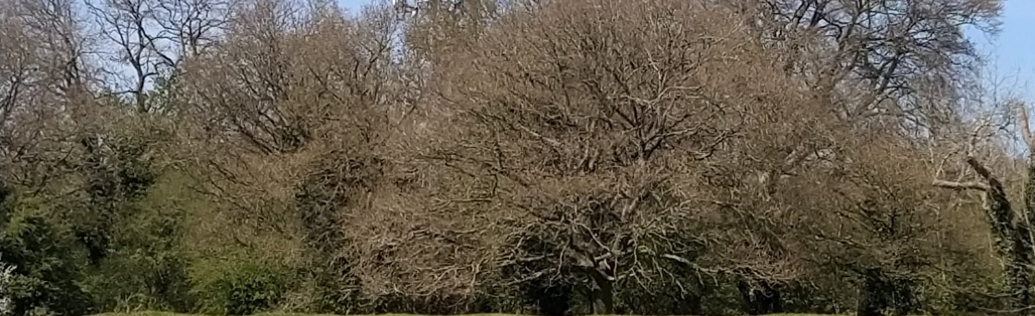 Shotover Hill Short Circular: 14 Reviews, Map - Oxfordshire, England ...