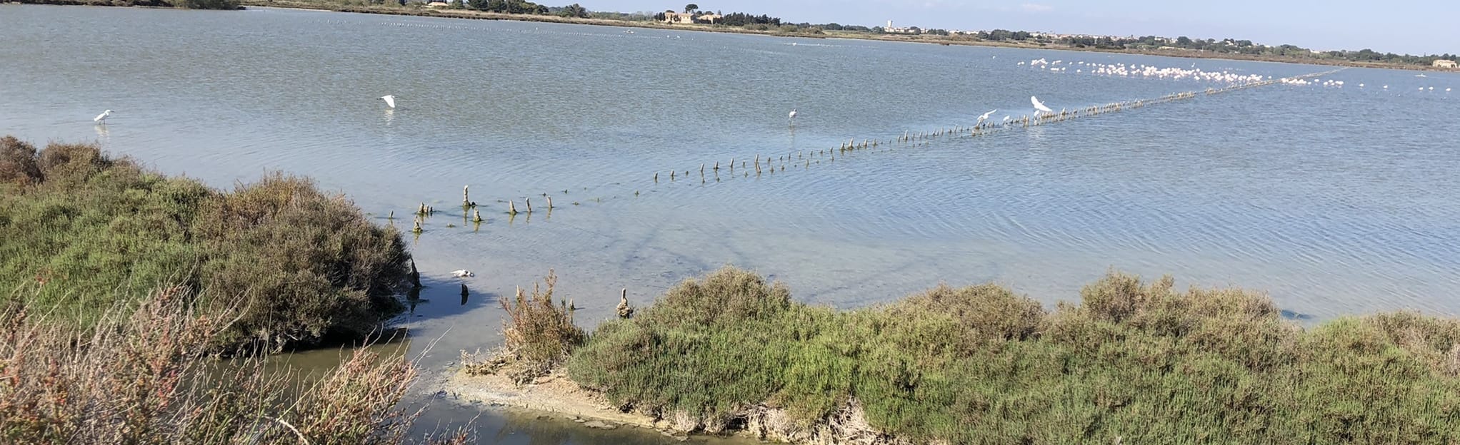 Etang de Vic - Salins de Maguelone: 94 foto's - Hérault, Frankrijk ...