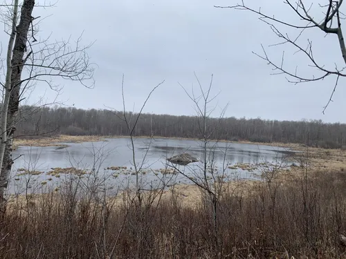 10 Best Kid Friendly Trails in Cooking Lake/Blackfoot Provincial ...