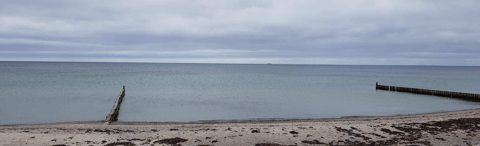 Damp Route 5, Schleswig-Holstein, Germany - 4 Reviews, Map | AllTrails