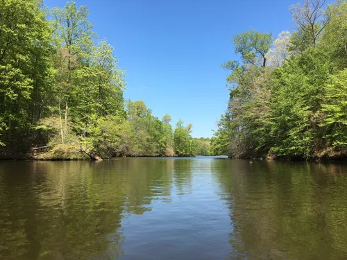 Best Hikes and Trails in Lake Ridge Community Park | AllTrails