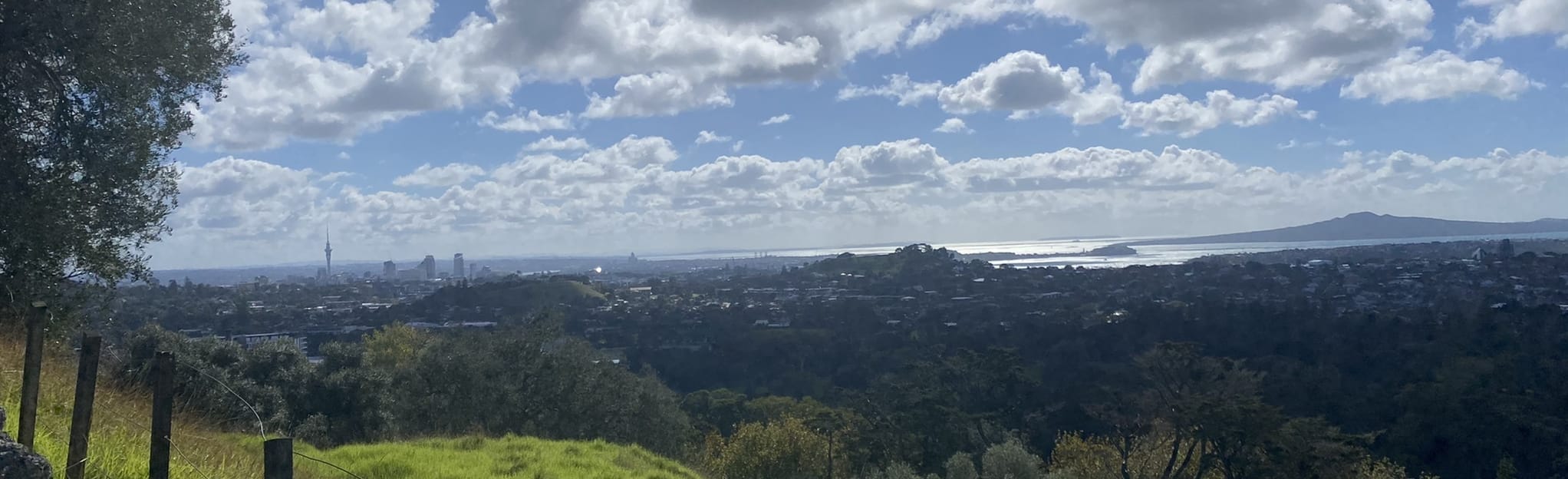 One Tree Hill: 397 Reviews, Map - Auckland, New Zealand | AllTrails
