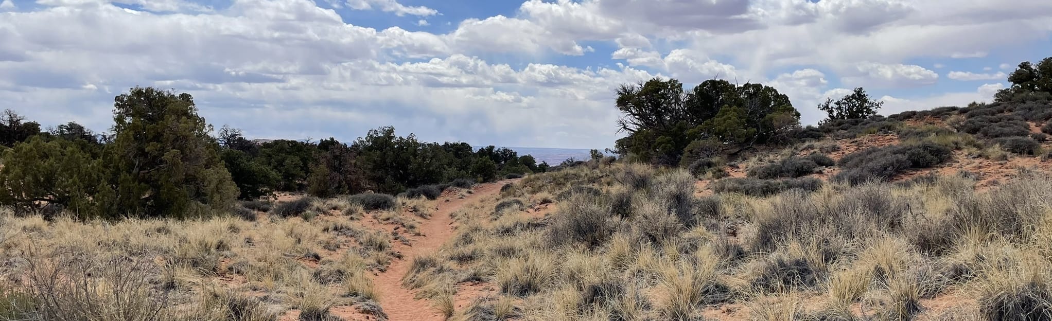 Murphy Trail, Utah - 91 Reviews, Map | AllTrails